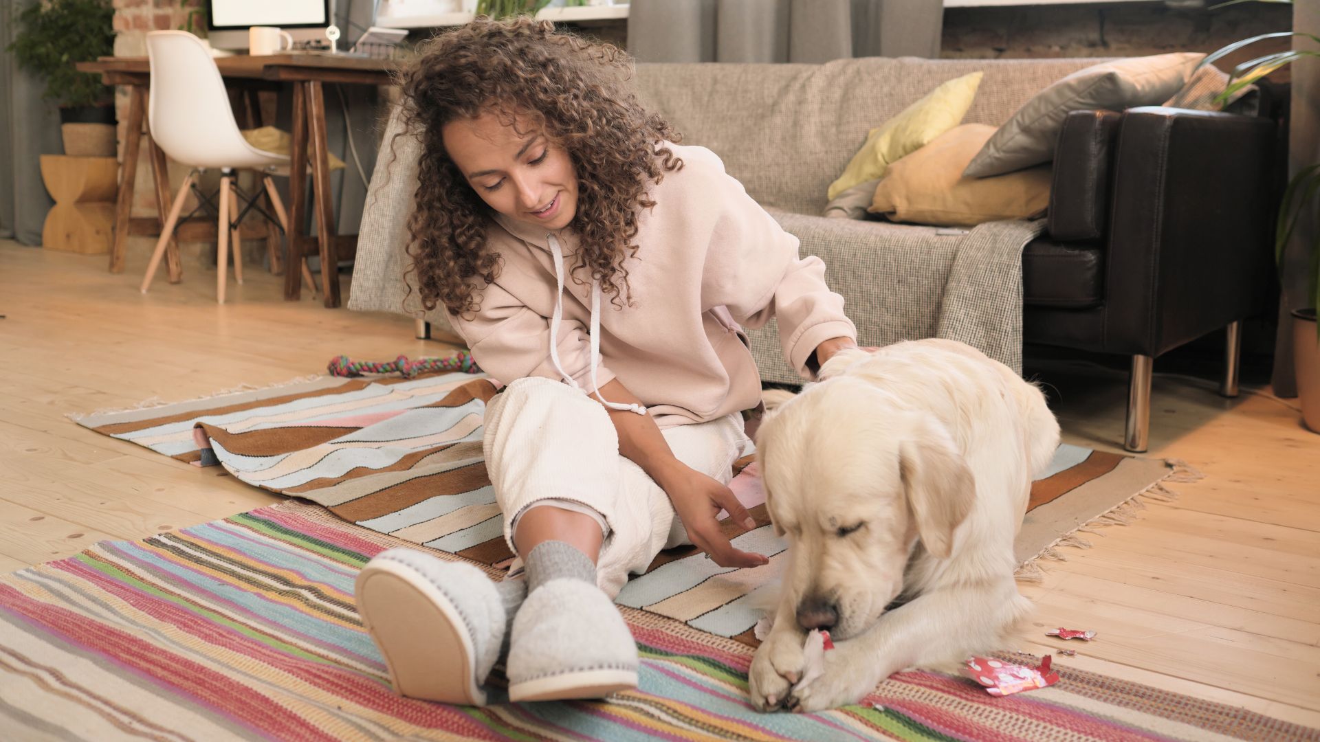 Pet Behavioral Counseling In Houston, TX | The Corner Vet